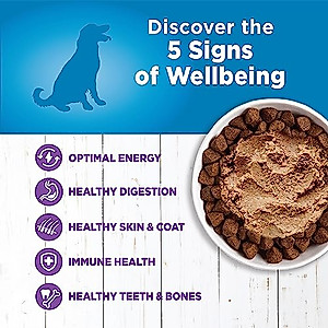 Wellness Simple Natural Wet Canned Limited Ingredient Dog Food, Turkey & Potato, 12.5-Ounce Can (Pack of 12)