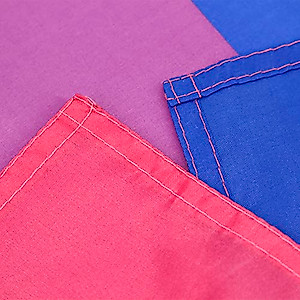 Flaglink Bisexual Pride Flag 3x5Fts - Bi Rainbow Banner