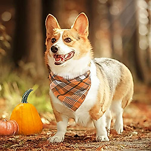 Malier 2 Pack Fall Dog Bandana Halloween Thanksgiving Plaid Dog Bandanas, Holiday Pet Reversible Scarf Bibs Accessories Costumes for Small Medium Large Dogs and Cats