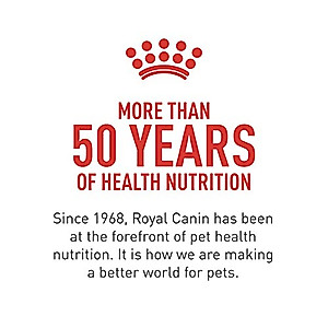 Royal Canin Feline Breed Nutrition Persian Kitten Dry Cat Food, 3 lb