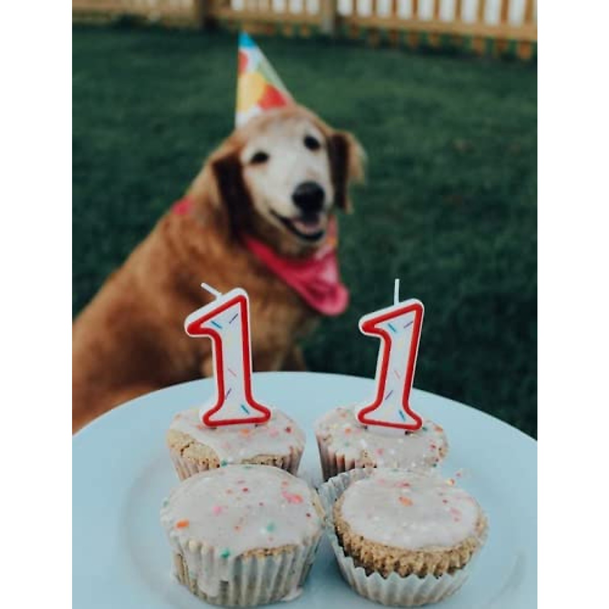 The Lazy Dog Cookie Co. Bake-at-Home Vanilla Birthday Cake Mix Dog Treat, 12-oz