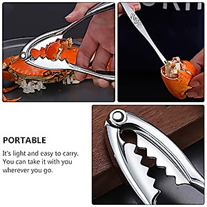 BESTonZON 1 set 5 pcs Crackers Picks Lobster Opener Nut Stainless for Forks Hard Silver Kit Crayfish Eating Shrimp Shell Peel Clamps Tools Seafood Accessories Nutcrackers Claw of and Crab,