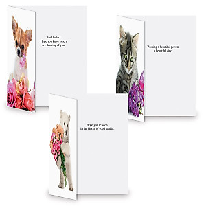 Current Big Bouquet Animal All Occasion Value Pack- Set of 20 (10 Designs), Large 5 x 7 Inch Cards, Birthday, Sympathy, Get Well, Friendship