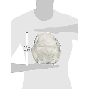 Dappi Waterproof 100% Nylon Diaper Pants, White, Medium Fits 20-25 pounds (2 Count)