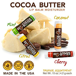 Nature's Bees 24 Pack Cocoa Butter Lip Balm Tubes Moisturizer Chap Treatment (Tropical 4 Flavors, 6 of Each)