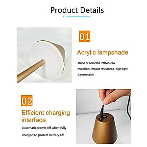 Creative Office Restaurant Bar Table lamp Rechargeable Study Reading Touch Led Desk Light with USB Charging Port for Bedroom (Black)