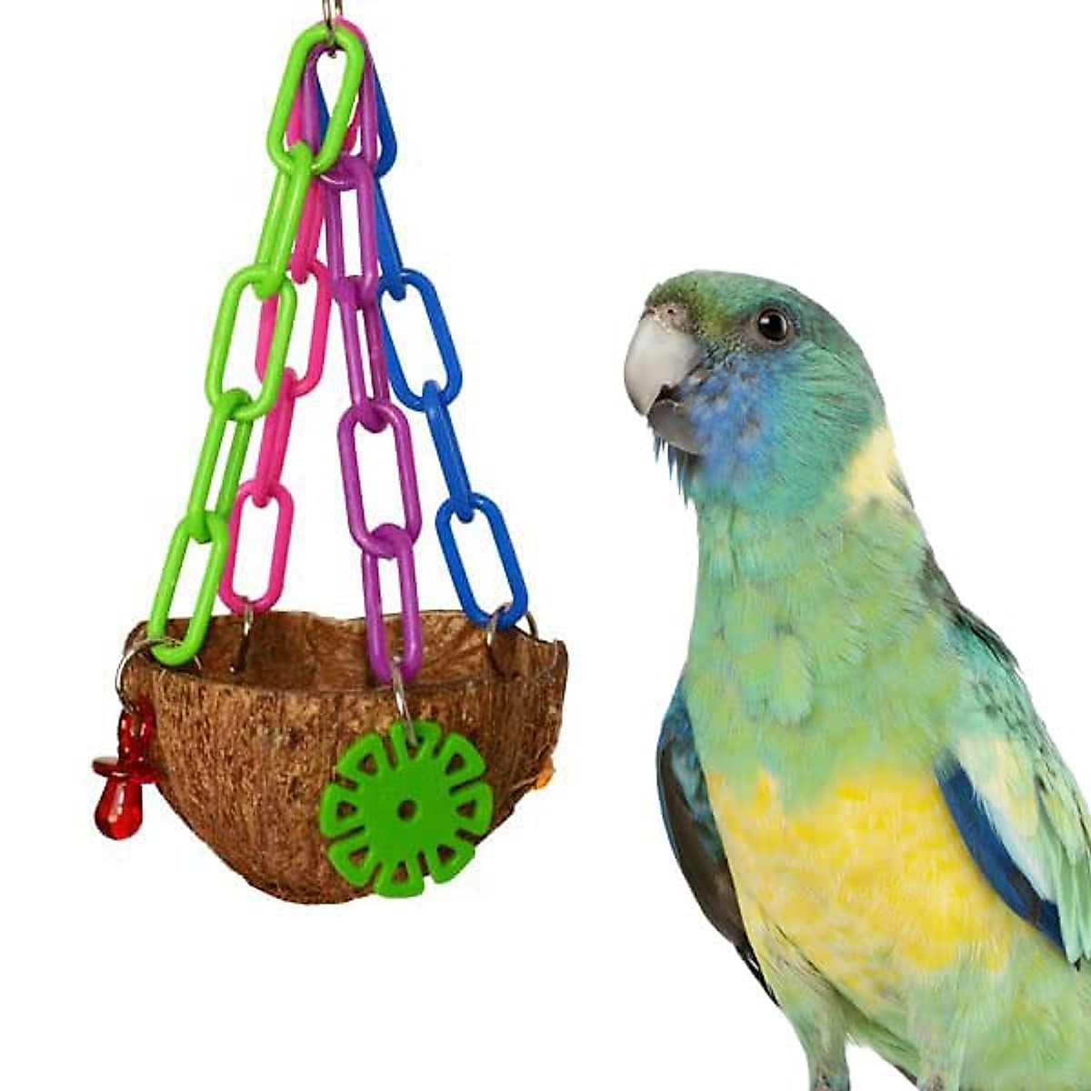 Super Bird Creations SB895 Coco Treat Cup Foraging Bird Toy, Small/Large Bird Size, 9" x 4"