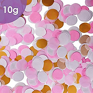 MerryNine Sparkly 40PCS Gold Pink Tassel Garland and 15PCS Paper Pennant Banner Triangle Flags Bunting and 10g Gold Paper Confetti