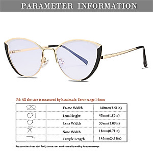 HJSTES Blue Light Blocking Glasses Women Trendy Cat Eye Metal Frame Computer Reading Eyewear(Black)