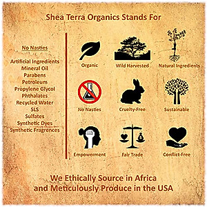 Shea Terra Kigelia Age Defense Collection - After-sun Face Crème | Natural, Anti-Aging Face Cream with Licorice Root, Shea Butter & Aloe for Sun Damage and Clear, Even Skin Tone – 4oz