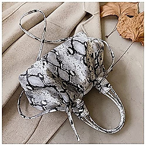 Women's Small Leather Rectangular Handbag Crossbody Purse Handbag Shoulder Bag Handle Satchel Purse Boho Shoulder Bag (sliver)