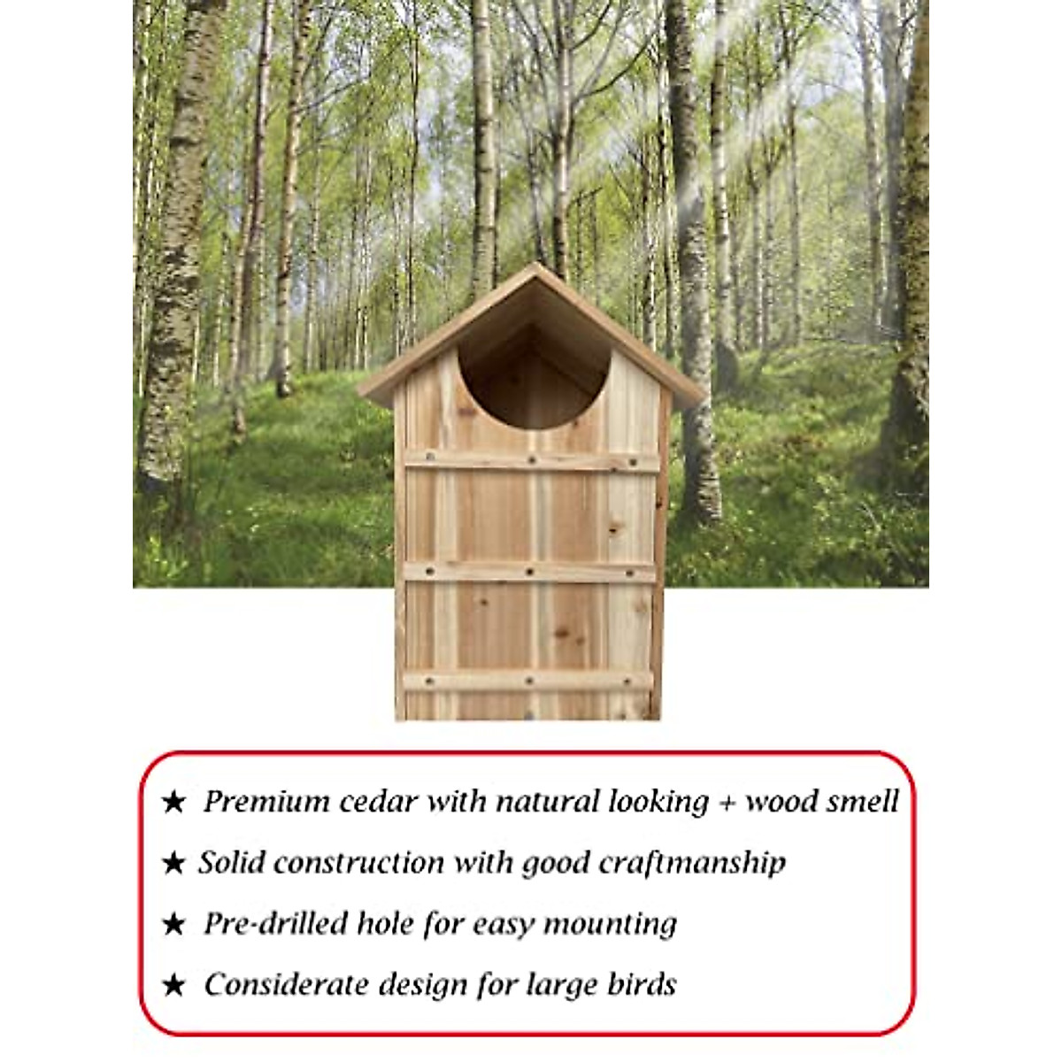 Sundia Screech Saw Whet Owl Kestrel Flicker Barn Large Big Bird Nesting Wooden Box Resident Habitant House (D100)