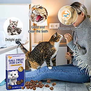 HavenJanny 20pcs Dried Silvervine Gall Fruit, Natural Silver Vine Cat Chew Toy, Matatabi Cat Toy for Dental Cleaning Hard chew Cheer up