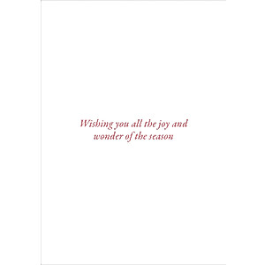 Joy Small Boxed Holiday Cards (Christmas Cards, Greeting Cards)
