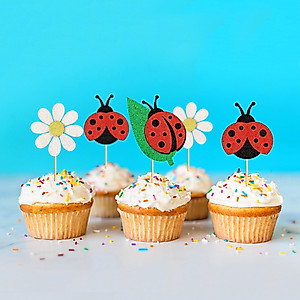 Cyodoos 24Pcs Ladybug Cupcake Toppers Flowers Insects Cupcake Picks Garden Theme Baby Shower Kids Birthday Party Cake Decorations Supplies