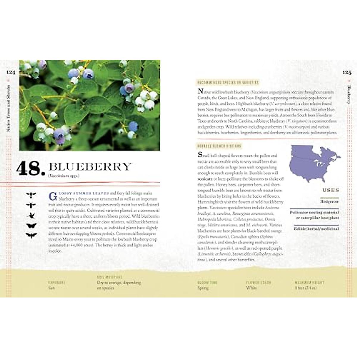 100 Plants to Feed the Bees: Provide a Healthy Habitat to Help Pollinators Thrive