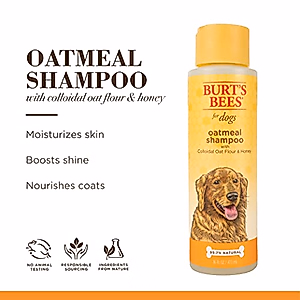 Burt's Bees for Pets Oatmeal Dog Shampoo | With Colloidal Oat Flour & Honey | Moisturizing & Nourishing, Cruelty Free, Sulfate & Paraben Free, pH Balanced for Dogs - Made in USA, 16 Oz