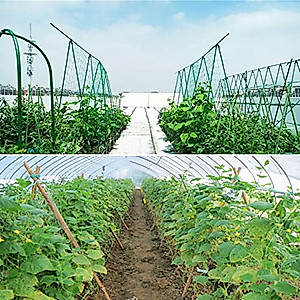 HHTHH Green Trellis Netting 5x60 ft Heavy Duty Garden Trellis Netting Polypropylene Plant Support Net for Climbing Vegetables Fruits Flowers
