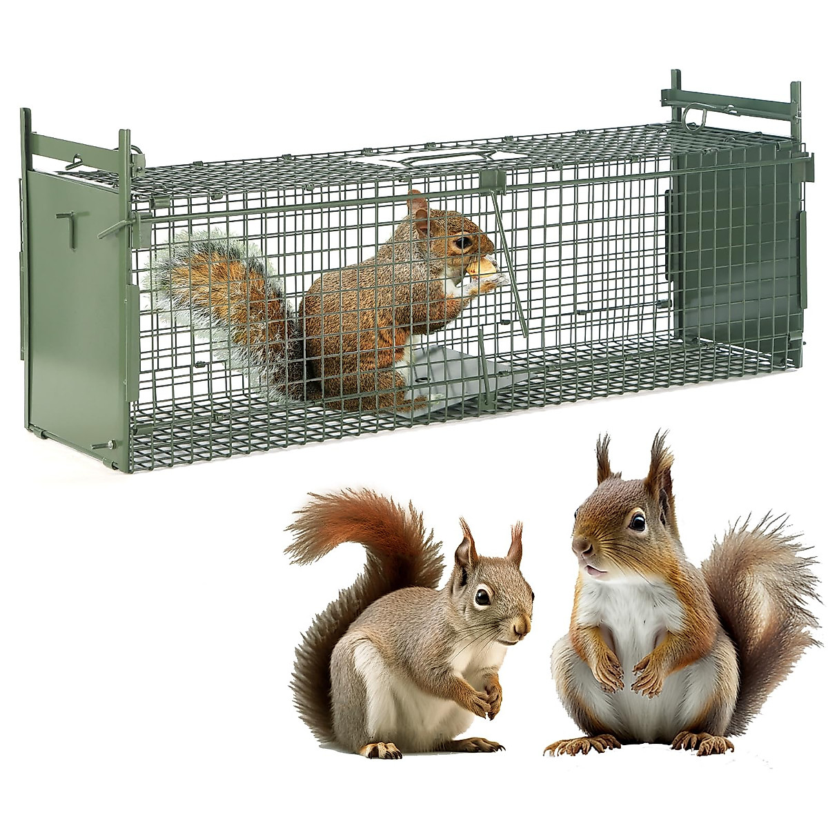 26" 2-Door Live Animal Traps for Stray Cats up to 5.5 pounds, Raccoons, Squirrel, Skunk, Mole, Groundhog, Armadillo, Rabbit, with Pedal Triggers