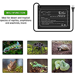 Simple Deluxe 6 X 8 Inch 8W Reptile Heating Pad with 2-Probe Digital Thermometer and Hygrometer Under Tank Heater Terrarium Warmer Heat Mat for Amphibians and Reptiles Pet, Black