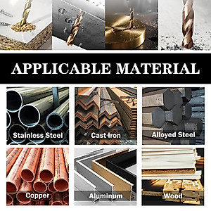 SALI Cobalt Drill Bit Set, 10Pcs 1/4" M35 High Speed Steel Jobber Length Drill Bit Kit for Hardened Metal, Stainless Steel, Cast Iron, Wood and Plastic, with Index Storage Case