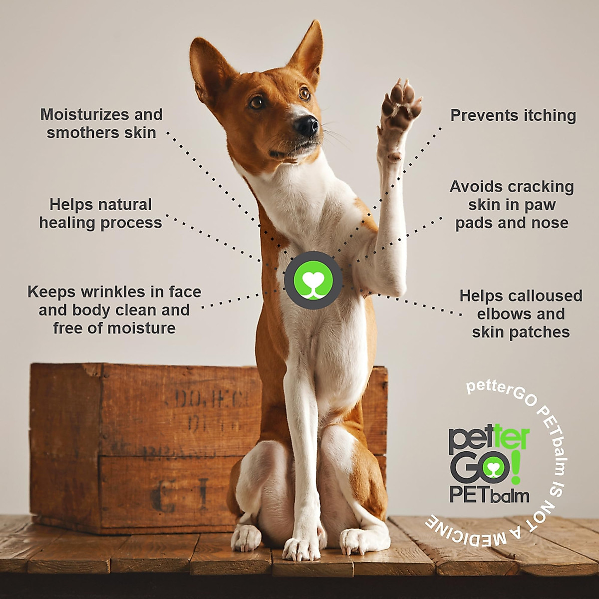 Go Care PETTERGO | Pet Balm - Stick 2oz | Dog Paw Balm - Soother Balm for Dogs and Cats - Pet Lotion for Itchy Skin - Pet Care Moisturizer - Snout Soother for Dogs - Lick Safe Skin