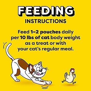 Temptations Creamy Puree with Chicken, Lickable Cat Treats, 0.42 oz Pouches, 24 Count