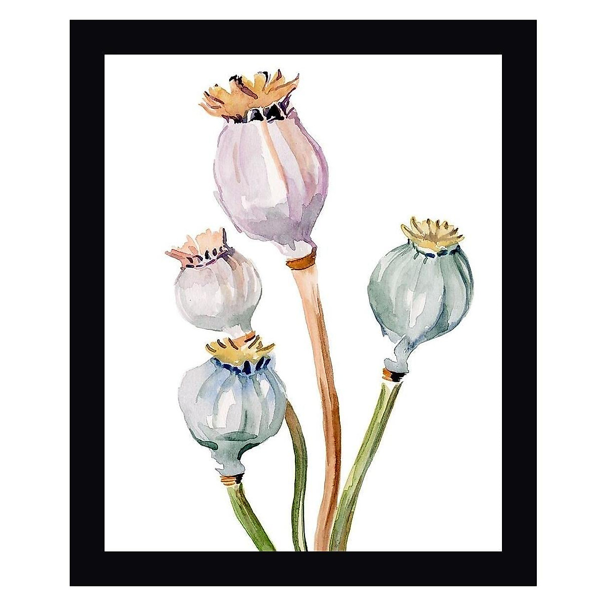 Watercolor Poppy Pods II by Jennifer Paxton Parker - 30" x 36" Framed Canvas Art Print - Black Frame - Ready to Hang