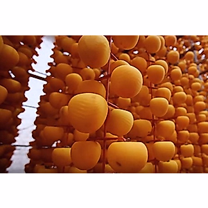 GWU ESSENTIAL Persimmon air Dry Hanger Hooks - 1 Pack - 5 Hangers -Can Hold 50 Fruits - Made in Japan