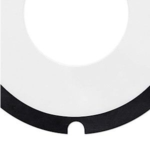 Big Fat Snare Drum Snare Drum Head (BFSD12)