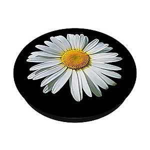 White Gerbera Daisy Flower Black Background PopSockets Swappable PopGrip