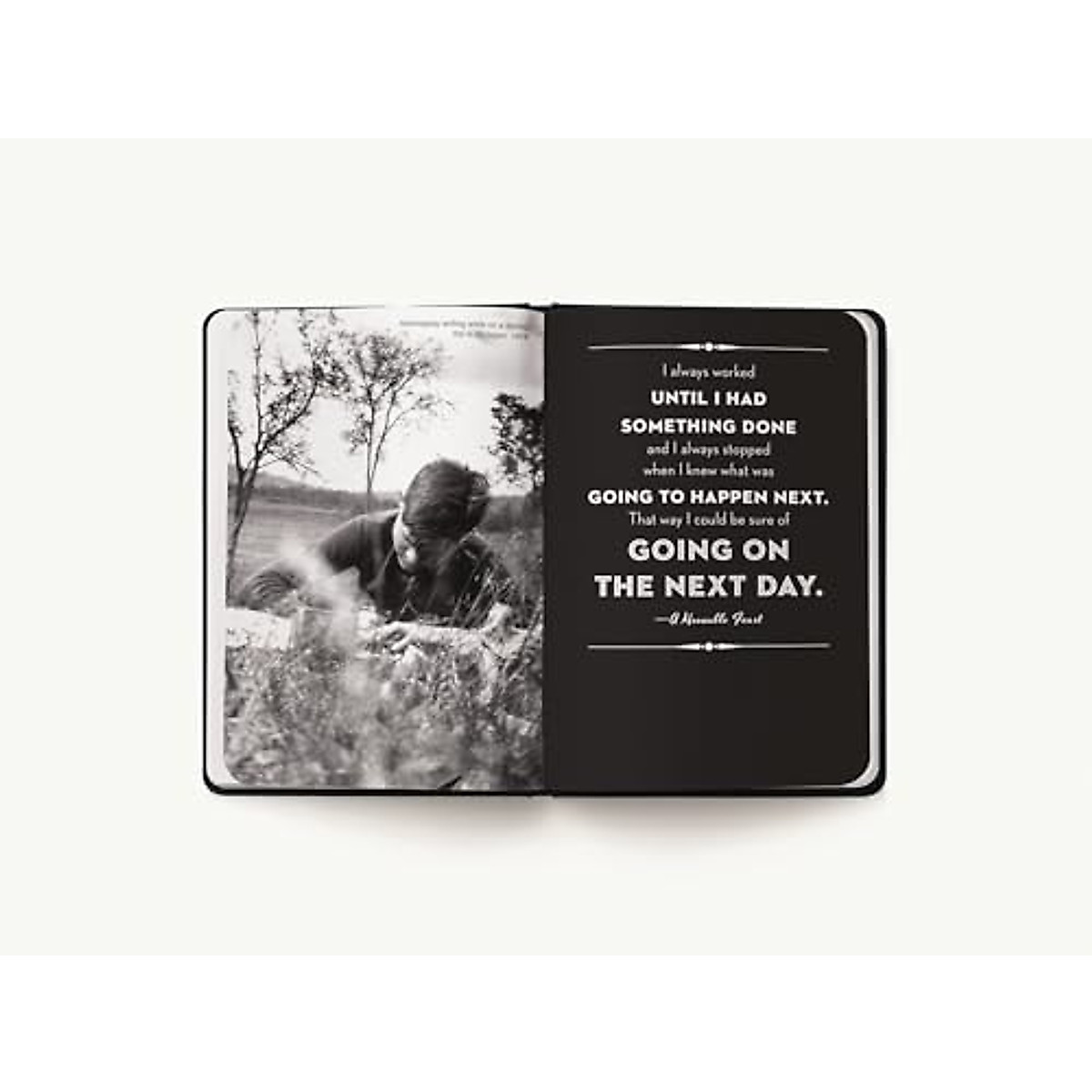 The Ernest Hemingway Signature Notebook: An Inspiring Notebook for Curious Minds (5) (The Signature Notebook Series)