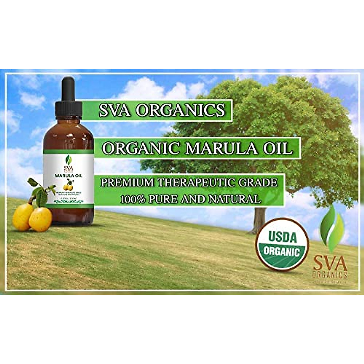 SVA ORGANICS Marula Oil Organic USDA 4 Oz Pure Natural Cold Pressed Carrier Unrefined Luxury Oil for Face, Body, Lips, Hair, Nails, Shampoo, Conditioner, Lotion, Face Serum