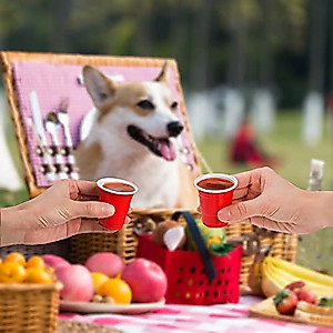 WUWEOT 700 Pack Red Plastic Shot Glasses, 2 Ounce Disposable Party Cups, Mini Tasting Cups Jello Shots Glasses for Serving Condiments, Snacks, Samples and Tastings