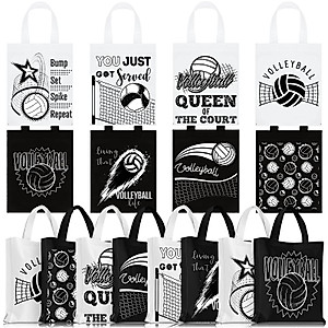 Kajaia 24 Pcs Party Treat Bag with Handles Reusable Goodie Favor Bag Non Woven Party Favor Bags Birthday Supplies(Volleyball)