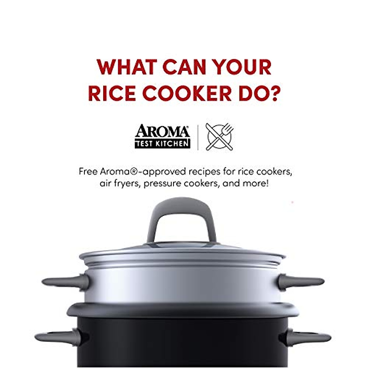 Aroma Housewares 6-Cup (Cooked) Pot-Style Rice Cooker and Food Steamer, Black ARC-743-1NGB