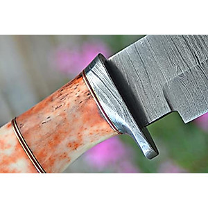 UK UNIQUE SHARP KNIVES BK-3004 Handmade Damascus Steel 12.00 Inches Damascus Steel Hunting Knife - Coloured Camel Bone Brass Spicer Handle With Damascus Gurd/pommel