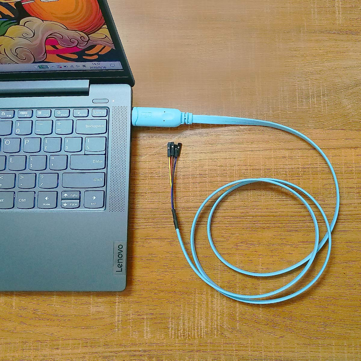 DSD TECH SH-U09BL USB to TTL Serial Cable with CP2102N Chip 1.2M/4FT