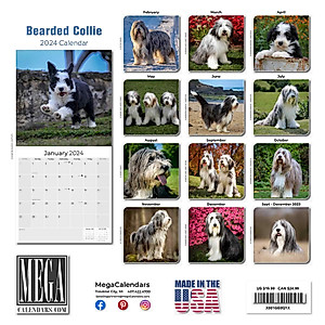 2023 2024 Bearded Collie Calendar - Dog Breed Monthly Wall Calendar - 12 x 24 Open - Thick No-Bleed Paper - Giftable - Academic Teacher's Planner Calendar Organizing & Planning - Made in USA