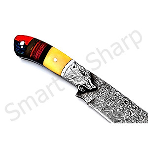 Smart & Sharp Custom Handmade Damascus Steel Hunting Knife/Skinning Knife AA-17287 (Natural Bone and Multi Color Wood)