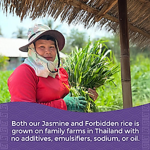 Lotus Foods Organic White Jasmine & Forbidden Rice Heat & Eat Pouch - Jasmine Rice, Gluten Free White Rice, Forbidden Back Rice, Instant Microwave Rice, Pre Cooked, GF, USDA Organic - 8 Oz (6 Pack)