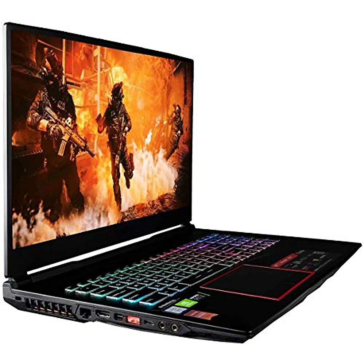 MSI GE75 Raider 2020 Premium Gaming Laptop I 17.3" FHD IPS 144Hz I 10th Gen Intel Hexa-Core i7-10750H I 32GB DDR4 1TB SSD + 2TB HDD I 6GB RTX 2060 RGB Backlit KB Win 10 + Delca 16GB Micro SD Card
