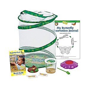 Butterfly Garden: Original Habitat and Live Cup of Caterpillars with STEM Butterfly Journal – Life Science & STEM Education – Butterfly Science Kit