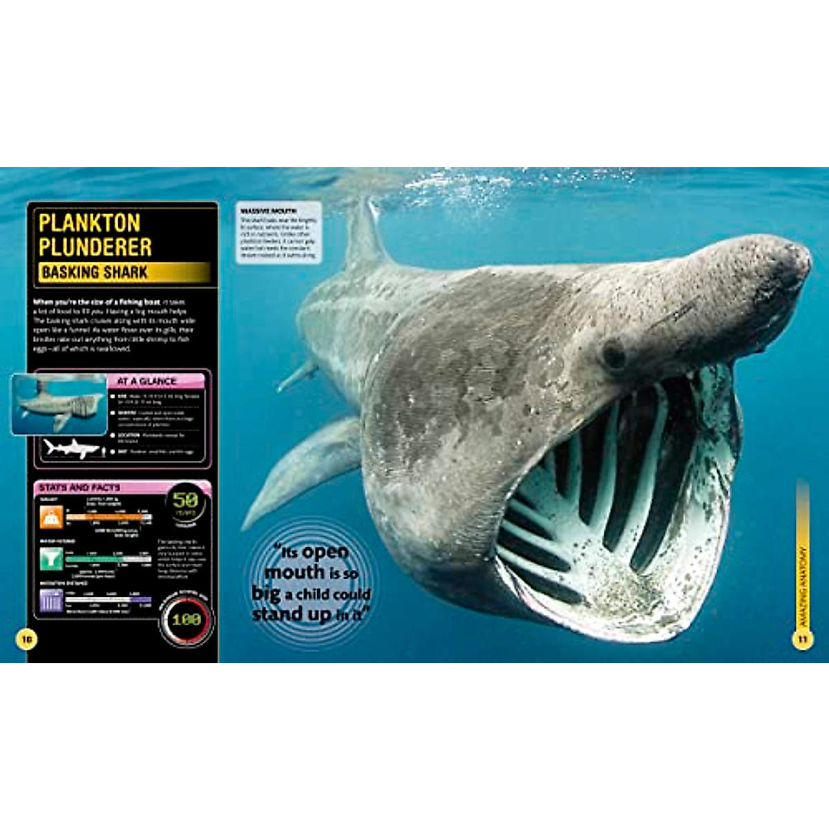 Super Shark Encyclopedia: And Other Creatures of the Deep (DK Super Nature Encyclopedias)