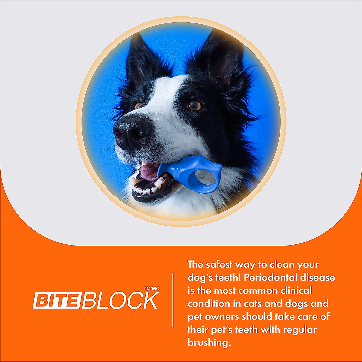 Dog Toothbrush and Bite Block Assistant (Protects Hand and Fingers) Combo Pack by Paw Ready for Puppies' Dogs and Cats Medium Size for use with Pets Between 15-85 lbs. (7-38.5 Kg).