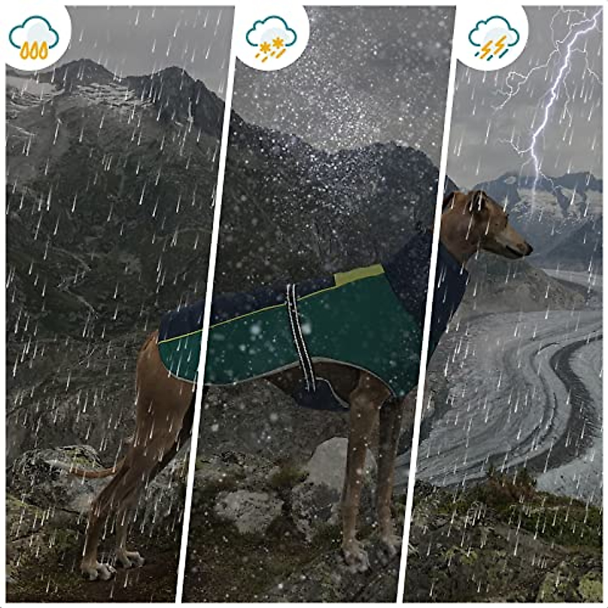 T'CHAQUE Warm Dog Jacket, Cold Weather Coat for Small Medium Large Dogs, Waterproof Reflective Turtleneck Dog Vest, Winter Fleece Dog Outfit with Leash Ring Windproof Adjustable Dog Apparel Clothes