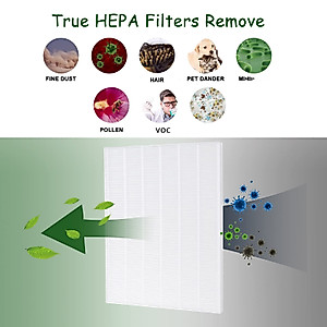 116130 HEPA Replacement Filter H Compatible with Winix 5500-2 Air Purifier and Models AM80, HEPA Filter Only 3 Pack