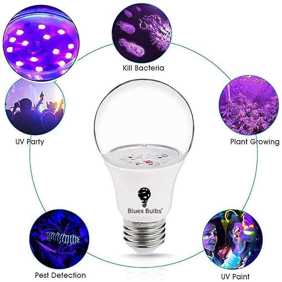 Bluex Bulbs 6 Pack LED Black Light Bulb, 9W A19 E26 Blacklight Bulb Level 385-400nm, Body Paint, Glow in The Dark LED Light Bulb Neon Glow Fluorescent Poster Black Bulb (6 Pack)