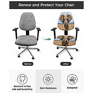 Big buy store Office Chair Cover Funny Animal Desk Chair Cover Stretch Elastic Universal Computer Chair Covers Elephant with Butterfly Wings Stretch Rotating Chair Slipcovers Protectors