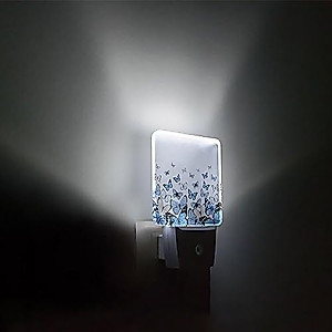 Big buy store Night Lights Auto Sensor Butterfly Floral Plug-in LED Nightlights Dusk to Dawn for Living Room, Bedroom, Bathroom, Kitchen, Hallway, Stairways, Country Style Blue Butterfly